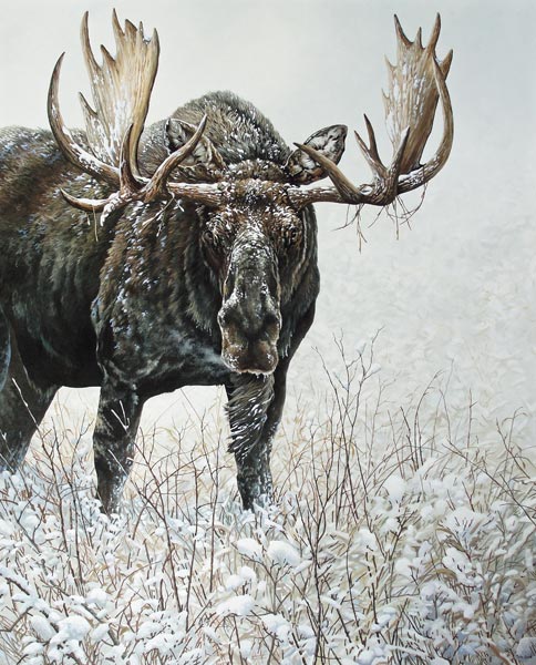 Pierre Girard | Galerie d' art Archambault